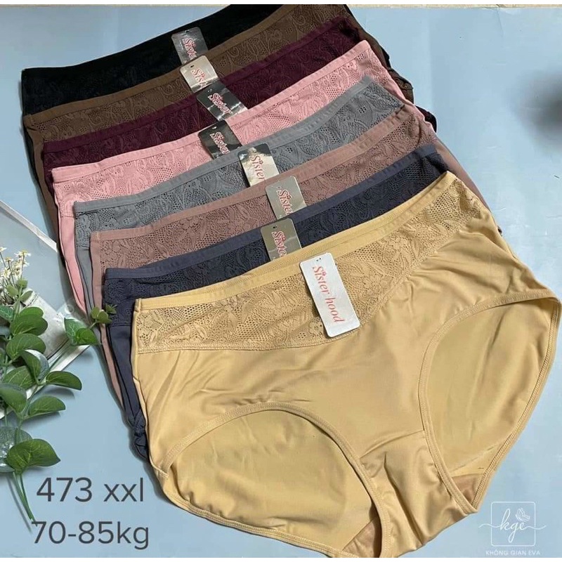 Quần lót Bigsize ( 70-85kg) Thái Lan Sister Hood 473 | Shopee Việt Nam