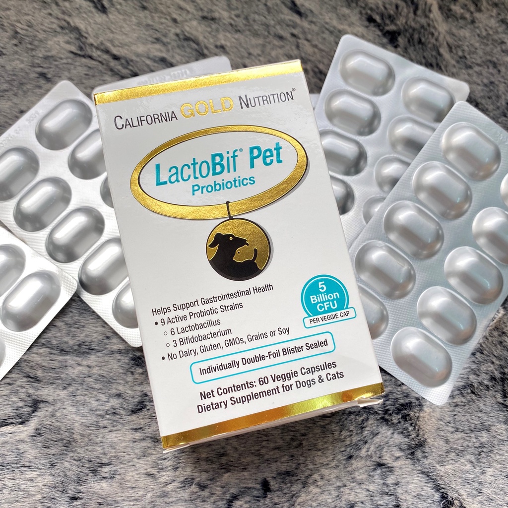 Men vi sinh cho chó mèo bổ sung lợi khuẩn LactoBif Pet | Shopee Việt Nam
