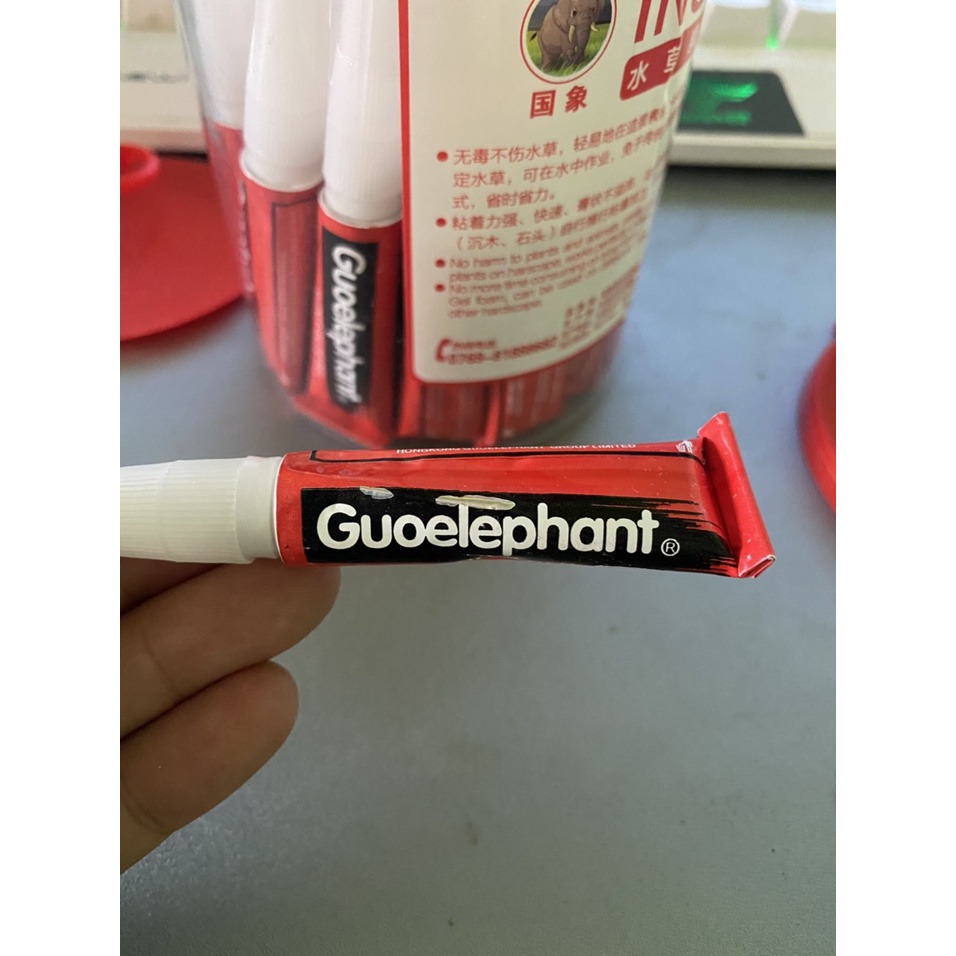 Keo dán rêu, cây thủy sinh, chuyên dùng setup bể cá cảnh thủy sinh ...