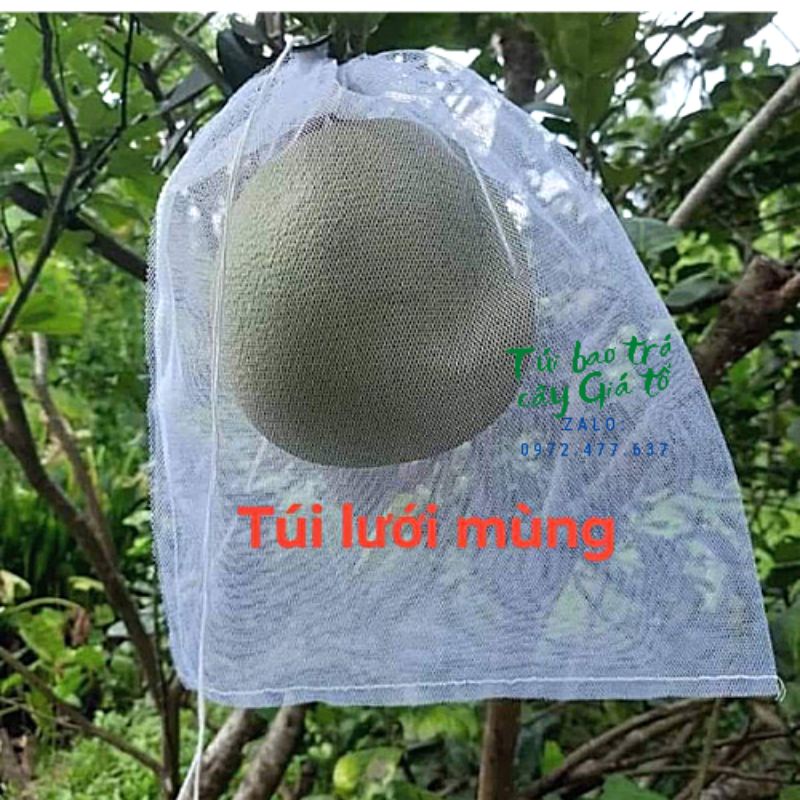[TÚI 30*35] 100 CÁI TÚI LƯỚI MÙNG BỌC BƯỞI | Shopee Việt Nam
