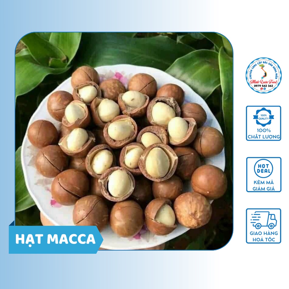 Hạt Macca Sấy Khô Minh Luân Food Chính Hãng Loại Đặc Biệt Đạt Tiêu ...