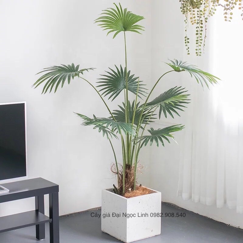 Cây cọ 1,6 m ( cây giả ) | Shopee Việt Nam