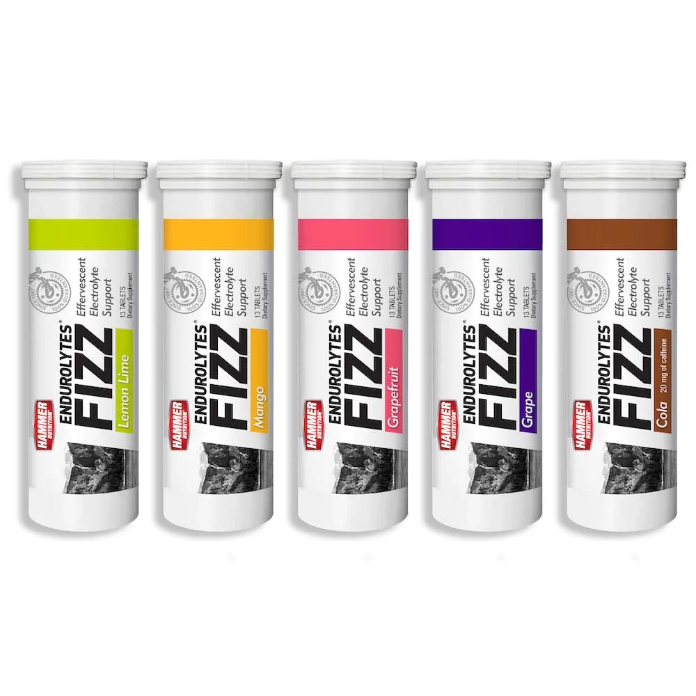 Viên Sủi Điện Giải Hammer Nutrition Endurolytes Fizz 13 viên | Shopee ...