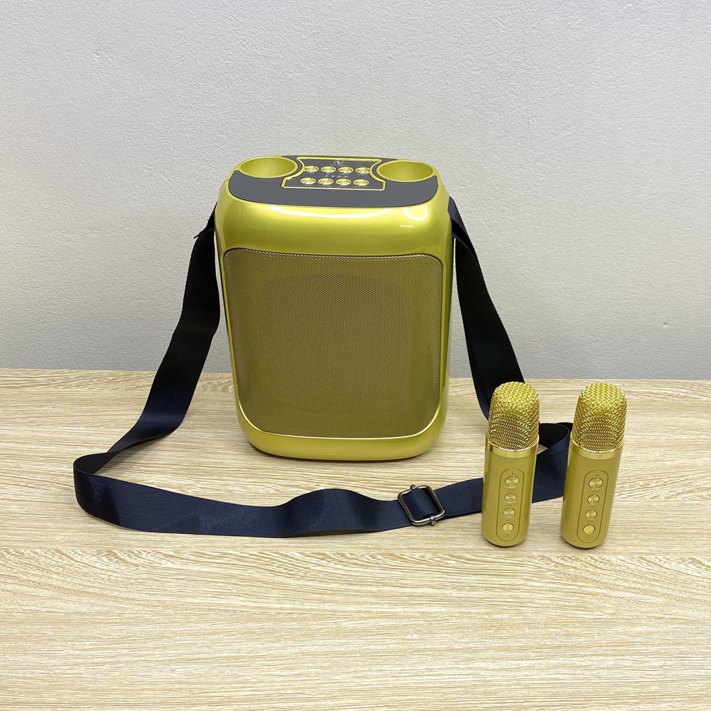 Loa Karaoke Bluetooth YS-220 Kèm 2 Micro Không Dây | Shopee Việt Nam
