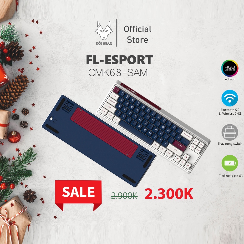 [HỎA TỐC HN - HCM] Bàn phím cơ không dây FL-Esporrt CMK68 Hotwsap, RGB ...