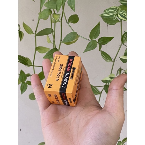 Kodak vision3 - 500T 24exp kèm combo tráng scan | Shopee Việt Nam