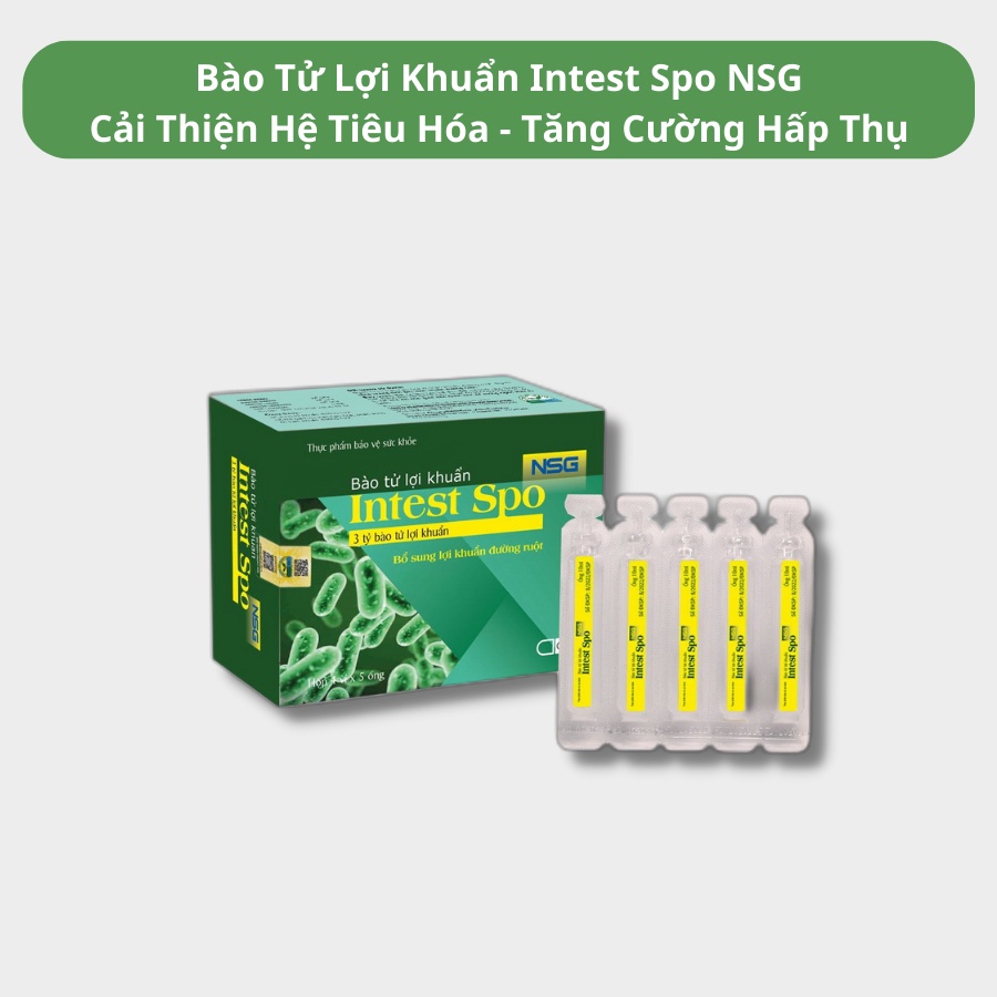 Bào Tử Lợi Khuẩn Intest Spo NSG Hỗ Trợ Sức Khỏe Hộp 4 Vỉ | Shopee Việt Nam