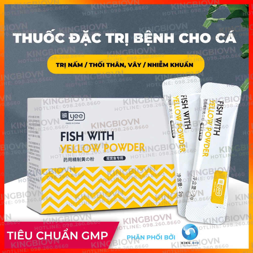 [King Bio] Yee Yellow Powder thuốc vàng trị bệnh mắt đục trắng, nấm ...