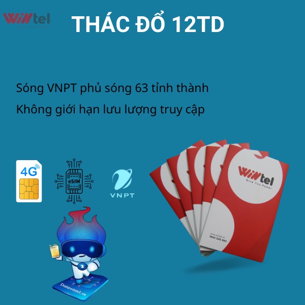 Sim 4G Wintel 12 TD ( Không giới hạn lưu lượng truy cập ) | Shopee Việt Nam