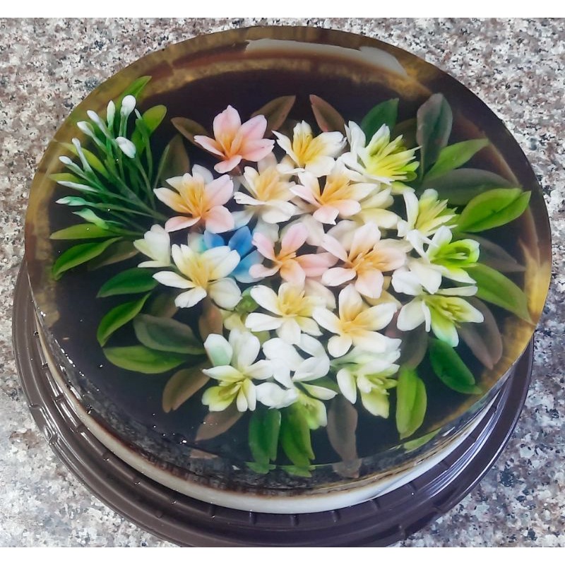 Bánh 3D rau câu sinh nhật | Shopee Việt Nam