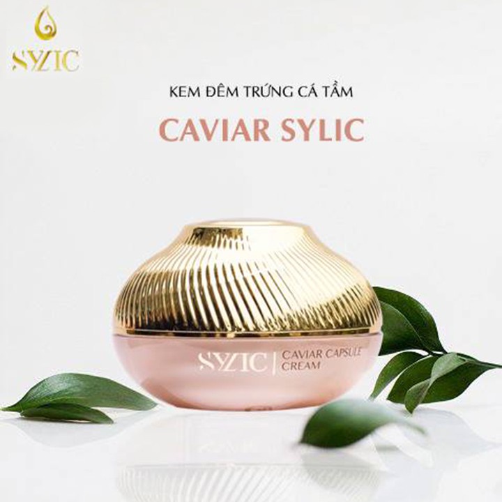 Kem Sylic Trứng Cá Tầm Dưỡng Da Chống Lão Hóa 50ml | Shopee Việt Nam
