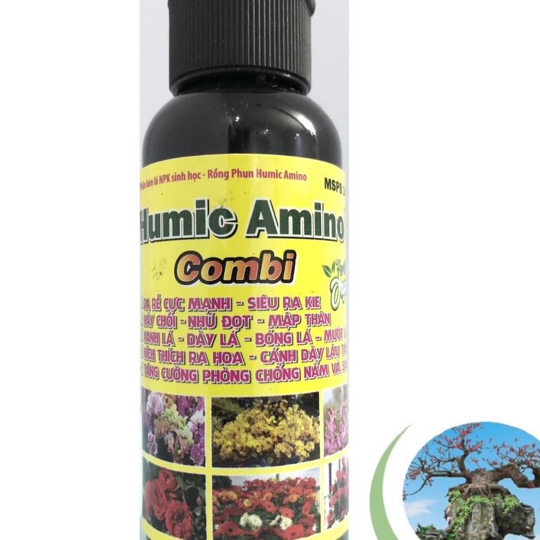 Phân Bón Lá Sinh Học HUMIC AMINO COMBI 50ml Kích Ra Rễ,Keiki,Nảy ...