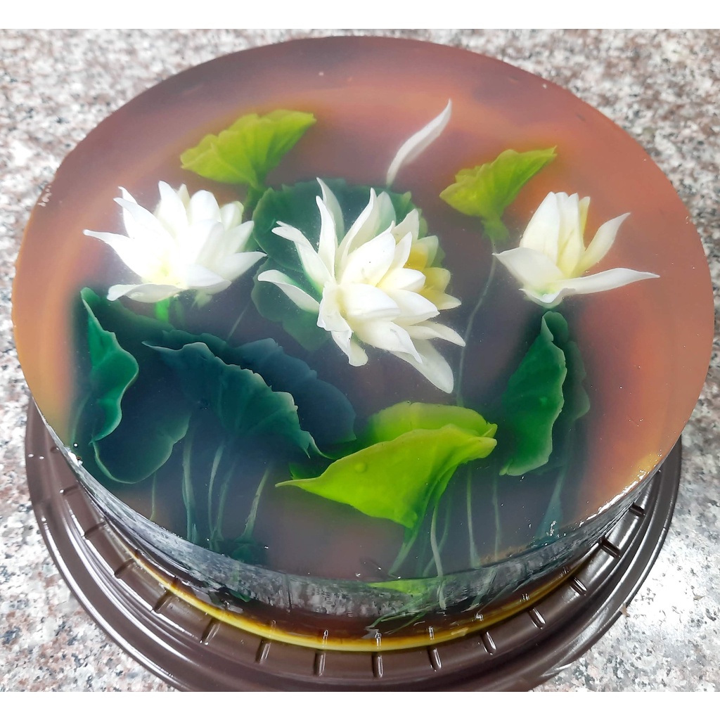 Bánh rau câu 3D tròn 20cm x 7cm | Shopee Việt Nam