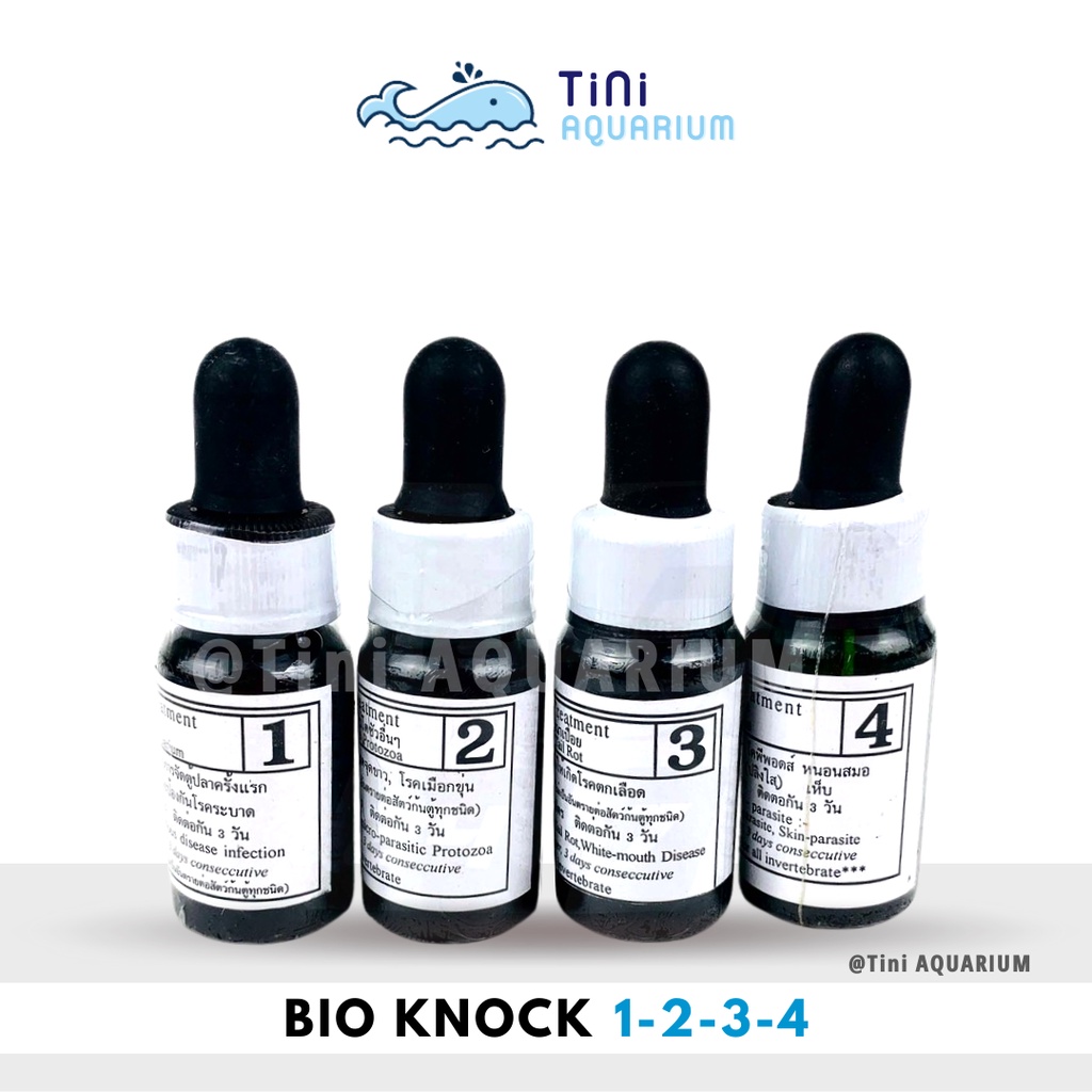 [HCM] Bio Knock số 1, số 2, số 3, số 4 - Bio Knock Thái Lan bộ tứ phòng ...