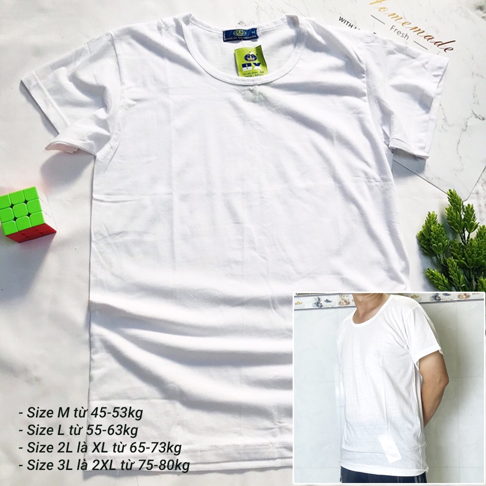 Áo thun Nam tay ngắn Size từ 45kg - 80kg, Áo thun cotton trắng trơn mỏng mềm mát - AN42 | Shopee ...