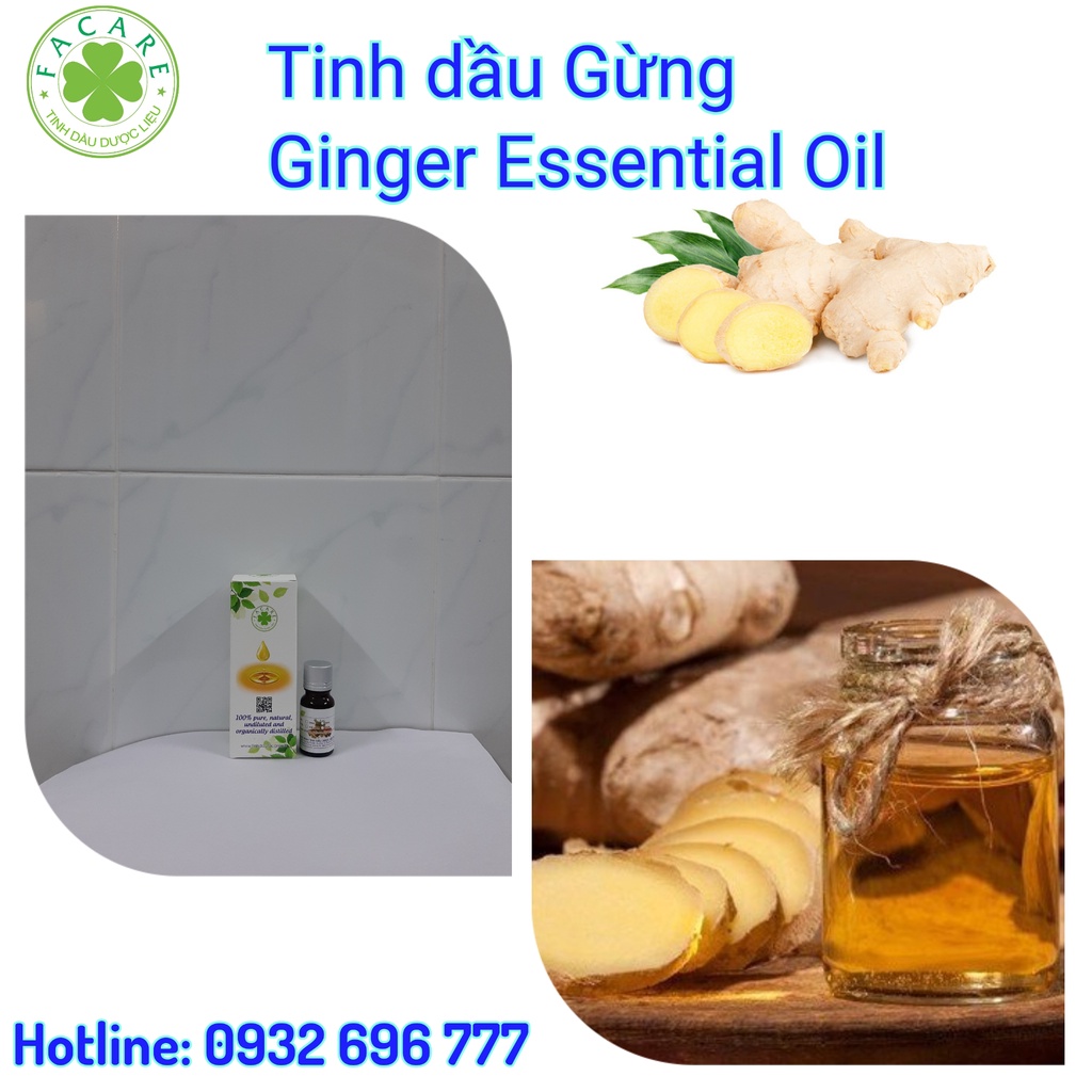 Tinh dầu Gừng Ginger essential oil giúp giảm đau xương khớp, giữ ấm cơ thể, giảm mỡ bụng - 10ml ...