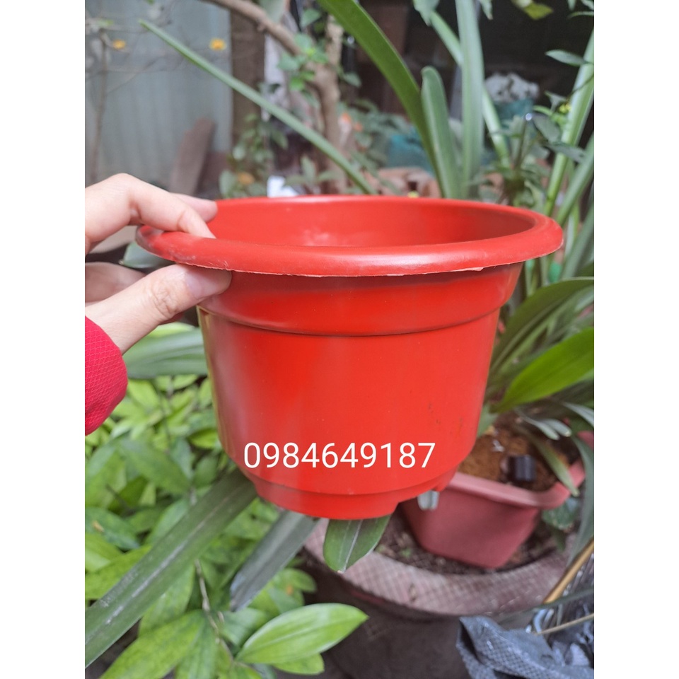 Chậu nhựa tròn trồng cây màu đỏ gach đủ size | Shopee Việt Nam