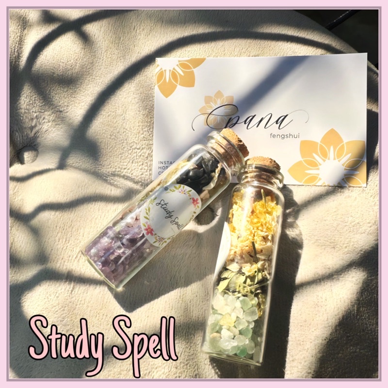 Study Spell | Shopee Việt Nam