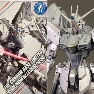 Mô Hình Gundam MG Freedom 2.0 Silver Coating The Gundam Base Limited ...