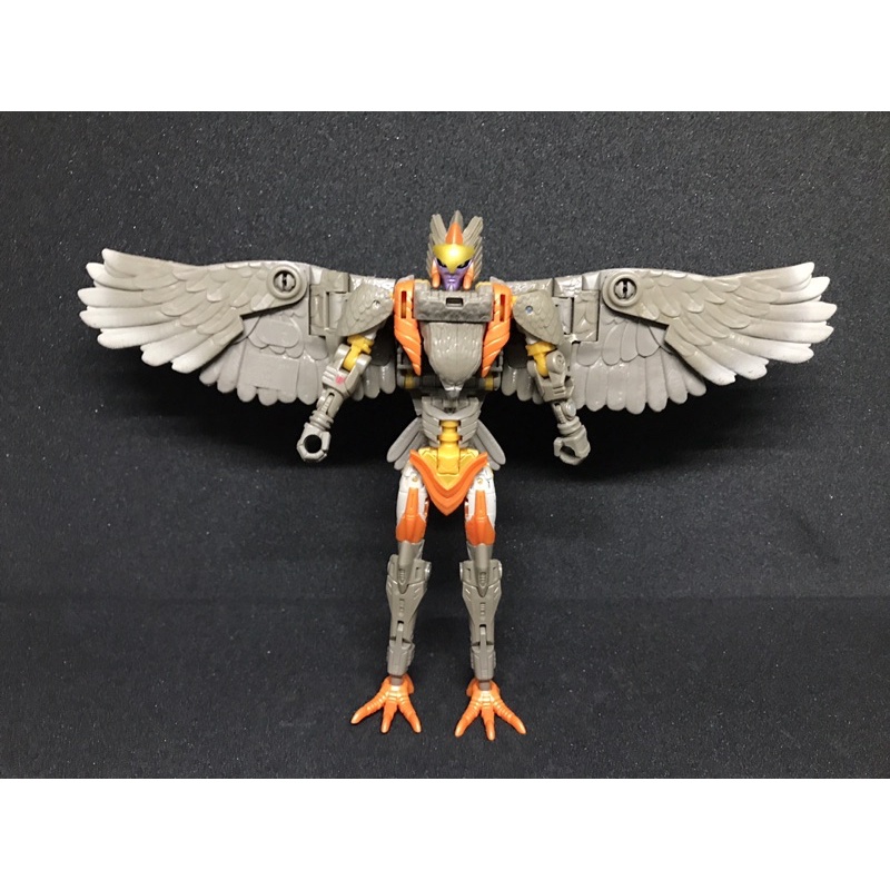 Mô hình Transformers Airazor Kingdom-Hàng chính hãng Hasbro(no box ...