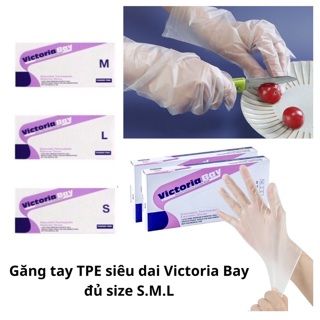 Găng tay siêu dai TPE Victoria Bay đa năng không mùi chống nhăn hộp 100 ...