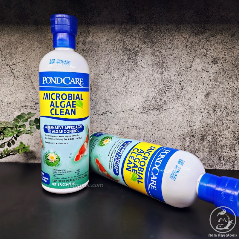 API - Microbial Algae Clean [473mL] | Vi Sinh Độc Đáo Phân Huỷ Mùn Bã ...