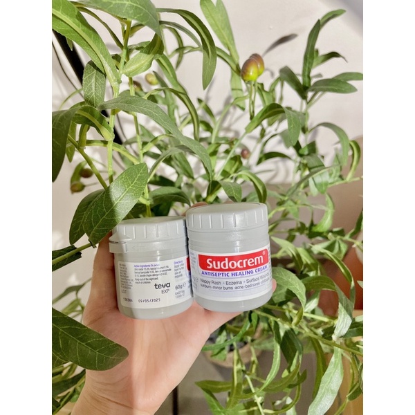 Kem Sudocream Anh 60g | Shopee Việt Nam