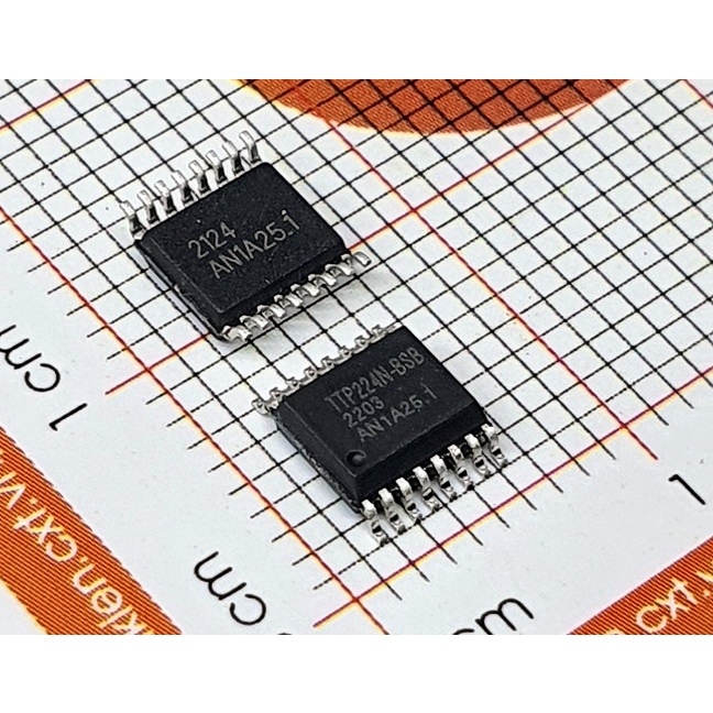TTP224N-BSB 4 KEY TOUCH PAD DETECTOR IC SSOP 16 | Shopee Việt Nam