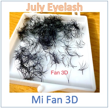 MI FAN 3D ( 1000 Fan ) | Shopee Việt Nam