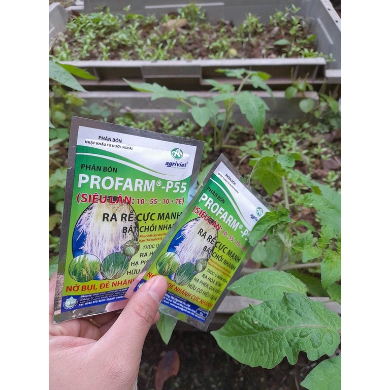 PHÂN BÓN SIÊU LÂN PROFARM-P55 10-55-10+TE GÓI 15G - GIÚP PHÂN HÓA MẦM HOA, TRỔ HOA ĐỒNG ĐỀU ...