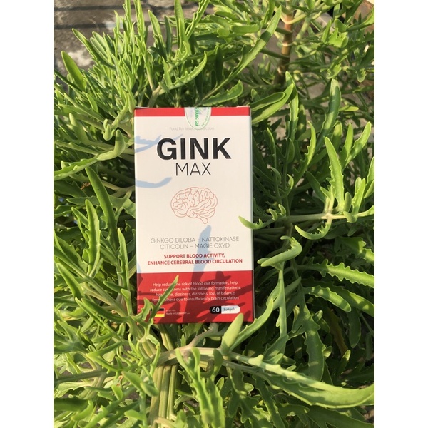 Bổ não Gink Max nhập khẩu Đức (hộp 60 viên) | Shopee Việt Nam