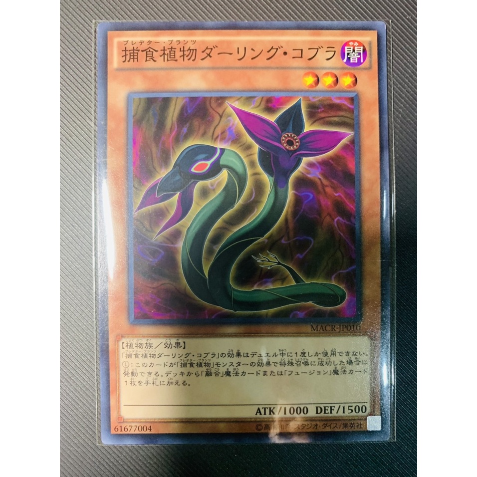 Thẻ bài Yugioh: Predaplant Darlingtonia Cobra - MACR-JP010 - Common | Shopee Việt Nam