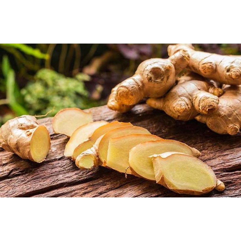 500 gram củ gừng già loại 1 HFGH ( Cây xanh ngọc lan 47) | Shopee Việt Nam