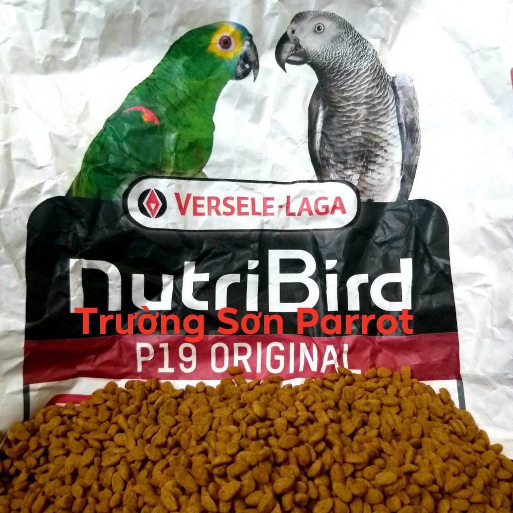 Thức ăn viên hoàn chỉnh cho vẹt trung và lớn nutri Bird P19 original ...