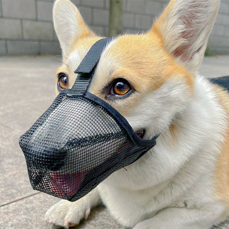New Mesh Dog Mouth Cover Long Mouth Anti-Bite Eating Bark-Stop Dog Mask ...