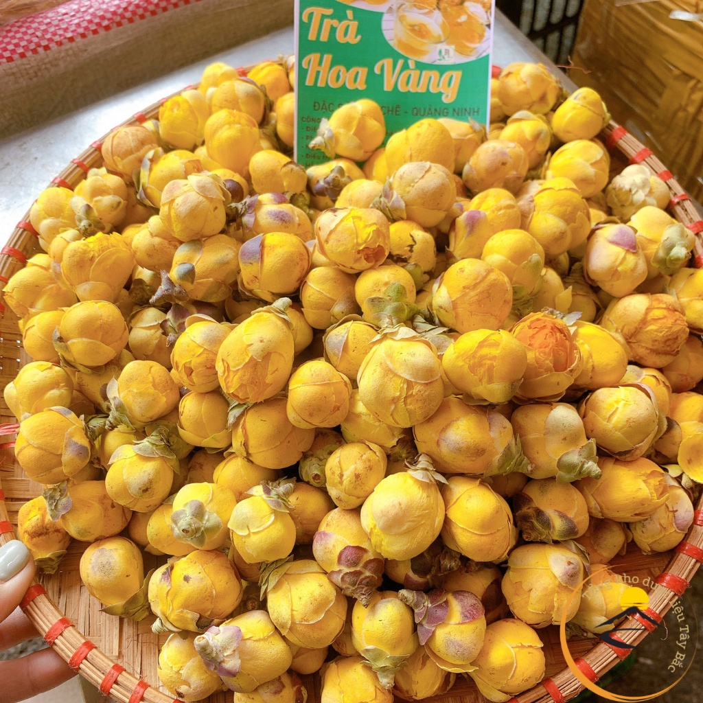 Trà Hoa vàng Ba Chẽ, Quảng Ninh sấy thăng hoa thượng hạng. Đặc sản chè ...