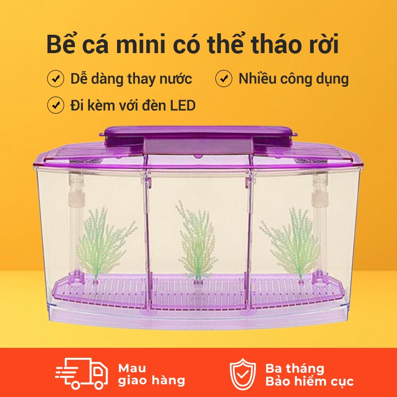 Bể cá mini 2/3 ngăn rời, bể cá nhỏ có đèn led, bể cá betta, có cát đáy ...