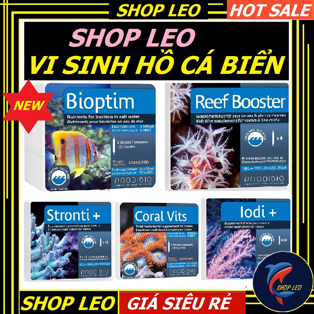 Vi sinh hồ cá biển - bể nước mặn - bioptim - Coral vits- Reef booster ...