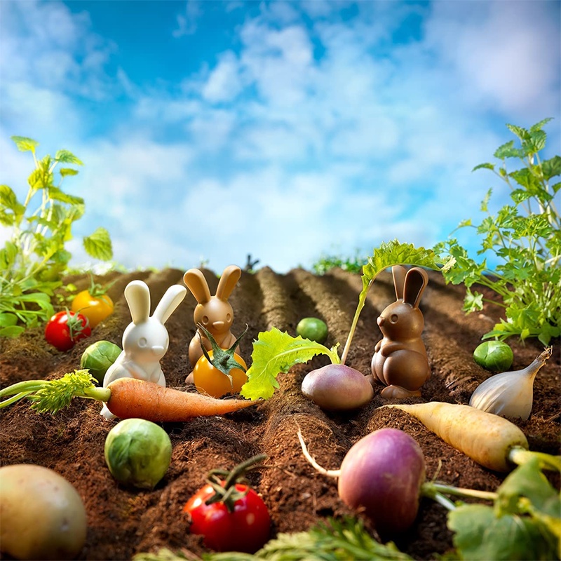 SmartGames Grabbit Memory Game for 2-4 Players Ages 4 + | Shopee Việt Nam