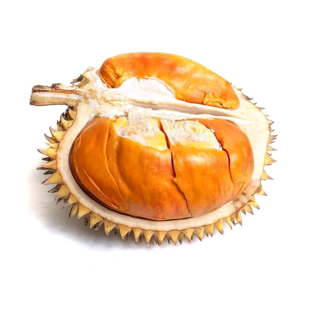 giống sầu riêng DSFDSF (phuongboutiquedk) | Shopee Việt Nam