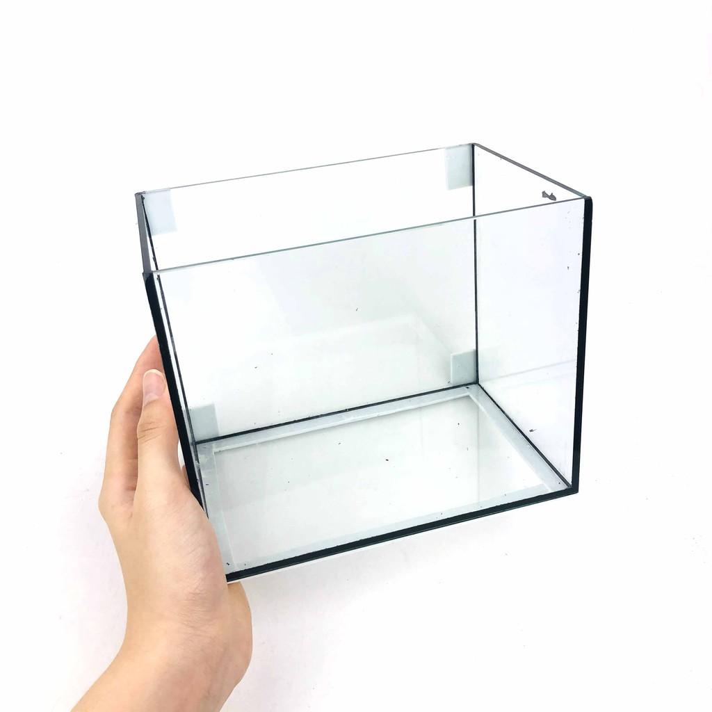 Bể cá mini BỂ CÁ BETTA Hồ Cá Vuông Để Bàn HV 18x12x15 - Bể Cá Mini bảo ...