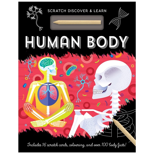 Human Body (Scratch Discover & Learn) | Shopee Việt Nam