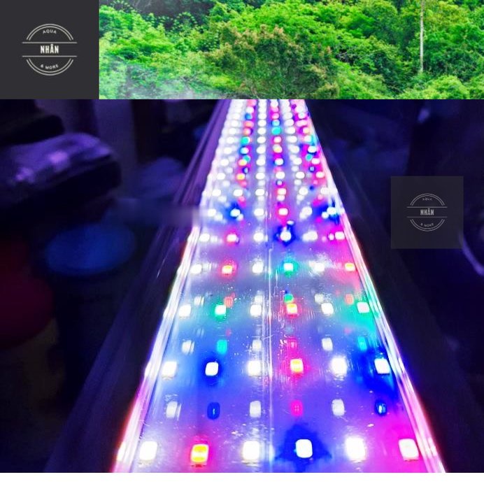 ( Hỏa tốc HCM) LED Máng 6 Dãy KAOKUI Jeneca 20-100cm Ánh Sáng 10.000K ...