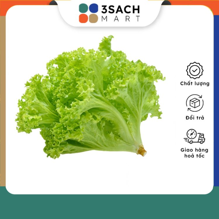 Xà Lách Lolo Xanh (Gói 300Gr) | Shopee Việt Nam