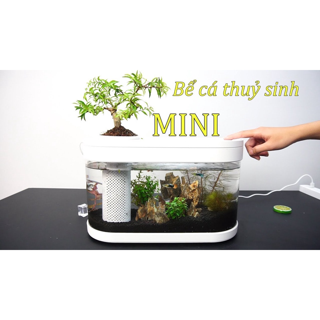 BỂ CÁ THỦY SINH XIAOMI HF-JHYG001/Xiaomi HFJH Mini(không bao gồm cây và ...