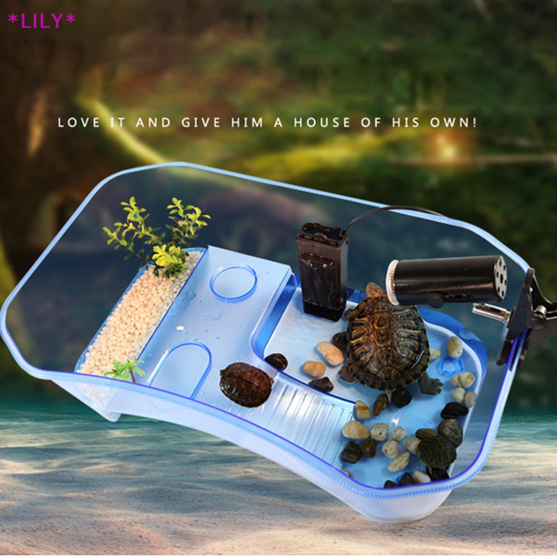 Lily bò sát vivarium hộp cho rùa rùa ăn hộp với Basking nền tảng Tank ...