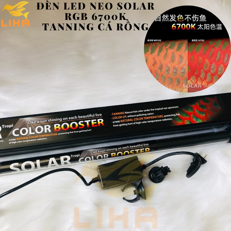 Đèn Led RGB 6700K NEO-HELIOS SOLAR Cho Cá Rồng Cá Lóc - Led Tanning cho ...