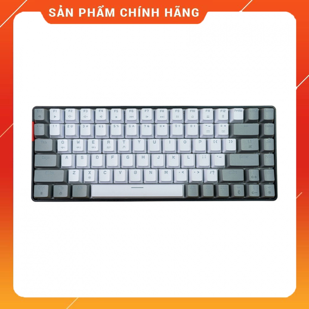 BÀN PHÍM CƠ EDRA EK384 TRIPLE MODE - BETA 3 CHẾ ĐỘ KẾT NỐI (USB-C ...