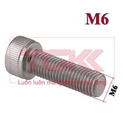 Bulong LGC đầu trụ inox 304 M6.0 (6mm-45mm) - DIN912 | Shopee Việt Nam