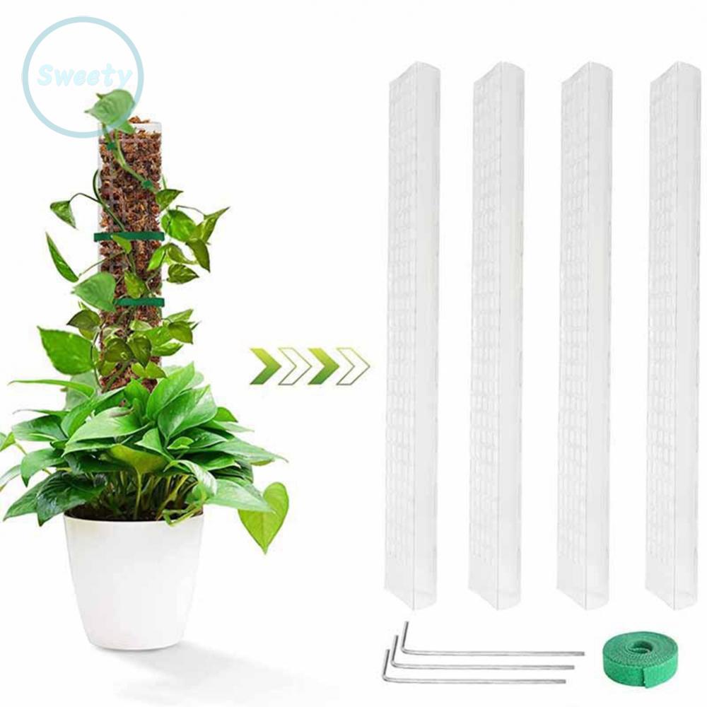 Sphagnum moss pole climbing plants bộ bề mặt phẳng bộ clear moss pole ...